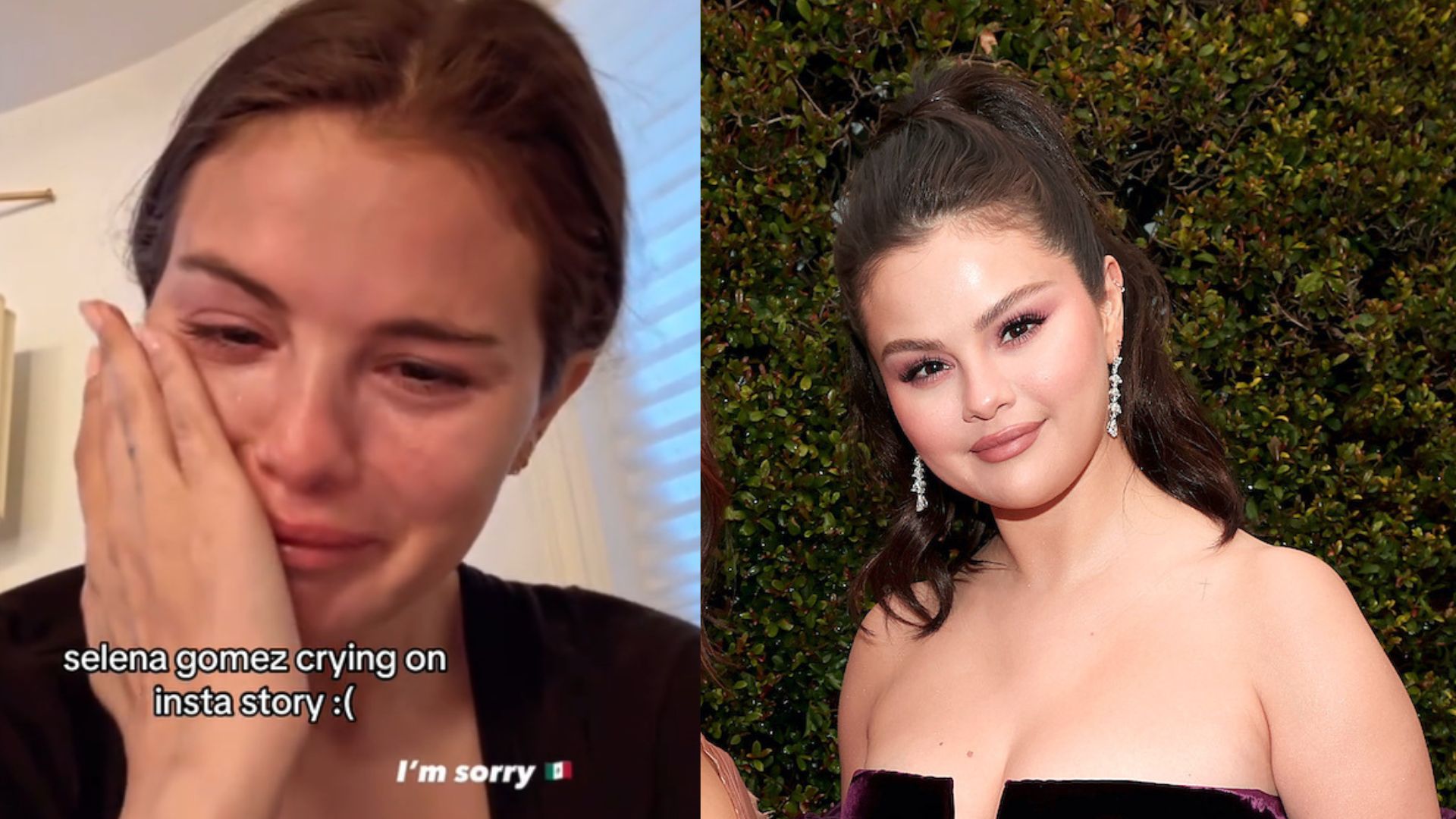 Selena Gómez llora en redes por deportación de migrantes y borra la ...
